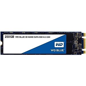 Western Digital 250GB WD Blue 3D NAND Internal PC SSD - SATA III 6 Gb/s, M.2 2280, Up to 550 MB/s - WDS250G2B0B