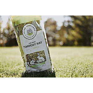 Pure Pastures Timothy Hay