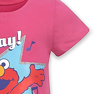 Sesame Street Elmo Girls’ Birthday T-Shirt for Infant and Toddler (18 Months)- Pink