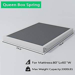 ALDRICH 5 Inch Heavy Duty Metal Box Spring Mattress Foundation 3000lbs Max Weight Capacity/Non-Slip/No Noise/Easy Assembly/Easy Clean Cover,Queen