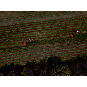 Hobby Hay Alfalfa and Orchard Grass Mixed Hay - All Natural Hay for Rabbits, Guinea Pigs, Hamsters, Gerbils, and Other Small Animals - 8 lb