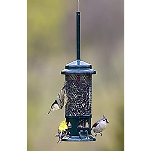 Squirrel Buster Standard Squirrel-proof Bird Feeder w/4 Metal Perches, 1.3-pound Seed Capacity, garden green