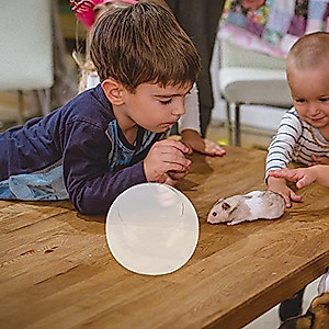 balacoo Small Animal Pet House Clear Glass Hideout Hut Cave Summer Cool Small Animal Nesting Habitat Cage Critter Bath House Cave Mini Hut Cage for Hamster Chinchillas Gerbils