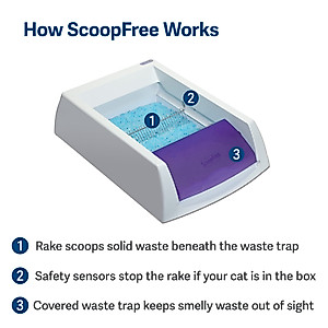 PetSafe ScoopFree Ultra Self-Cleaning Cat Litter Box – Automatic with Disposable Tray – Purple Covered