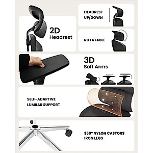 Dripex Ergonomic Office Chair - High Back Desk Chair with 3D Armrest/Lumbar Support/Headrest/Wheels, Full Mesh Seat Bottom Tilting Computer Chair for Tall People Home Rolling Swivel Chair, Black