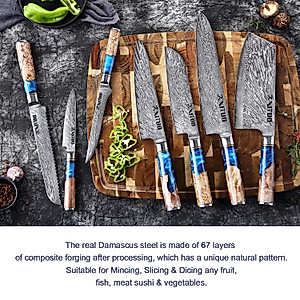 XT XITUO Damascus Steel Knife - 5 Piece Set - Tsunami Collection - 67-Layer Japanese VG10 Steel Core - Unique Blue Resin Wood Handle - Gift Box - w/knife Sheath