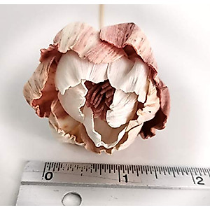 10 Rare Natural Pink Peony 1.5" Sola Flower Reed Diffuser for Home Fragrance Oil by Plawanature.
