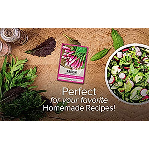 Radish Seeds for Planting - French Breakfast Variety Heirloom, Non-GMO Vegetable Seed - 2 Grams of Seeds Great for Outdoor Spring, Winter and Fall Gardening by Gardeners Basics