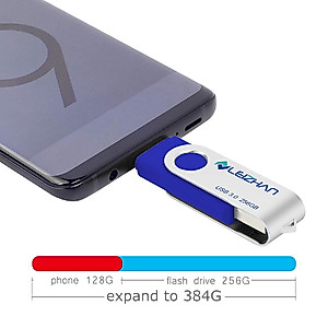 leizhan 3.0 USB Flash Drive 256GB, Type C Photo Stick for Android Phone Huawei P30 P20,Samsung Galaxy S10, S9, Note 9, S8, S8 Plus, Blue