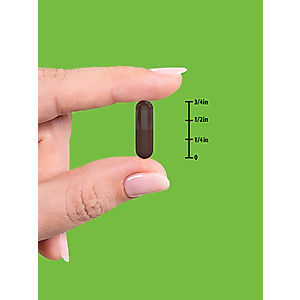 Nature's Truth Activated Charcoal Capsules 780mg | 150 Pills | Value Size | Non-GMO, Gluten Free Pills