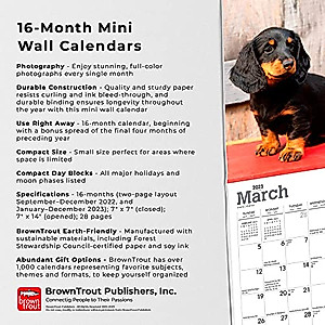 Dachshund Puppies | 2023 7 x 14 Inch Monthly Mini Wall Calendar | BrownTrout | Animals Dog Breeds Puppy DogDays