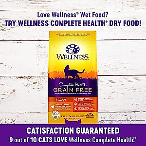 Wellness Complete Health Grain Free Canned Cat Food, Chicken Pate, 3 Ounces (Pack of 24)