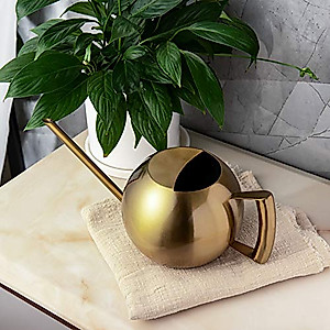 IMEEA Watering Can for Indoor Plants 45oz/1.3L Stainless Steel Small Indoor Watering Can House Plants (Bronze Color)