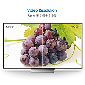 Rankie DisplayPort to DisplayPort Cable, DP to DP, 4K Resolution, 6 Feet, Black