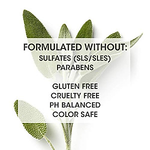 SEVEN Hair Care Rinzu Helio Violet Shampoo for Women & Men with Green Tea & Amino Acid, Purple Shampoo for Blonde Hair & Brassiness, Sulfate + Paraben Free, Cruelty Free, Made in USA, 7 oz