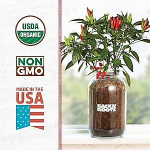 Back to the Roots Non-GMO Chili Planter, Grow Organic Chili Peppers Year Round, Windowsill Grow Kit, Top Gardening Gift, Holiday Gift, & Unique Gift