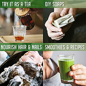 XPRS Nutra Organic Nettle Leaf Powder - Premium USDA Organic Stinging Nettle Powder for Hair and Nails - Vegan Friendly Energy Boosting Organic Stinging Nettle Leaf (4 oz)