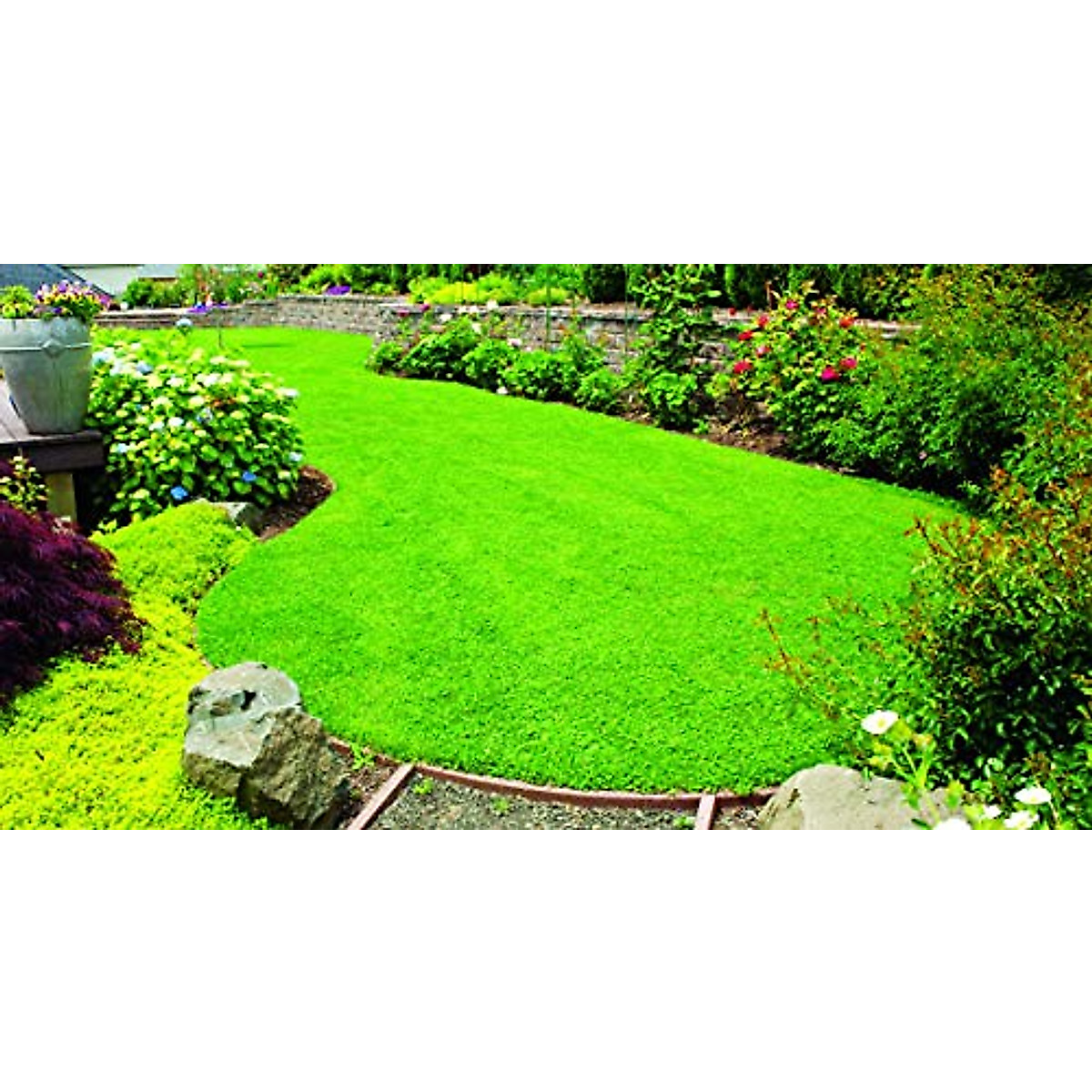 Microlawn Grass Seed & Microclover Mixture