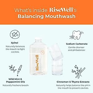 RiseWell Balancing Mouthwash - Alcohol Free, Alkaline pH Balancing Mouthwash with Xylitol - Dentist Developed All Natural Mouthwash Alkaline - No Added Fluoride Mouthwash for Adults - Wild Mint, 16 Oz