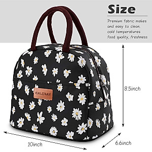 BALORAY Lunch Bag Women Men, Double Deck Lunch Box Insulated Lunch Bag for Adults Work Office Picnic, Leakproof Cooler Bag with Adjustable Shoulder Strap