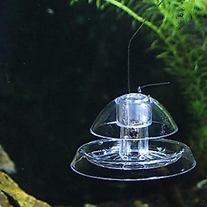 balacoo 2Pcs Transparent Snail Catchers Aquarium Leech Traps Leech Catchers Aquarium Accessory