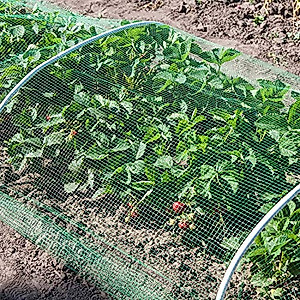 Garden Netting Anti Bird Protection Net 4M x 10M / 13Ft x 33Ft Green Garden Plant Netting Fruit Trees Netting with 20 Tacks and 50 Ties
