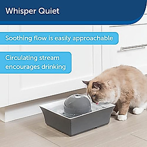 PetSafe Drinkwell Seascape Ceramic Pet Water Fountain - Quiet Automatic Water Dispenser for Cats and Small Dogs with Filters Included - 70 Ounce (2 Liter) - Dishwasher Safe - Square Modern Design