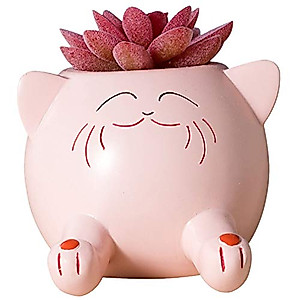 BESPORTBLE Knickknack Planter Container vase Decor Mobile Phone Holder Mini Table top Decor vase Desk top Decor Flowers Decorate Ceramics Desk Mini containers Succulents Cat Basin Bracket