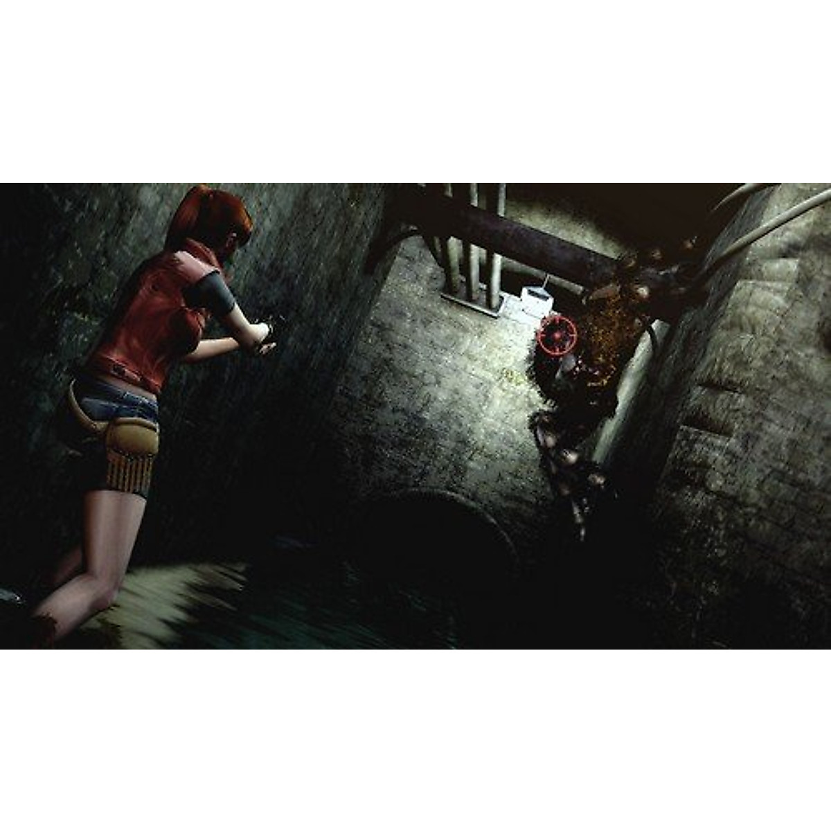 Resident Evil: The Darkside Chronicles