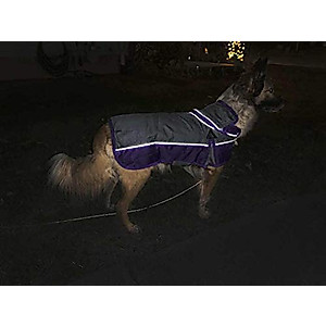 Derby Originals Ruff Pup 1200D Ripstop Waterproof Reflective Winter Dog Coat with Neck Cover and Harness Compatible Opening 220G - 17