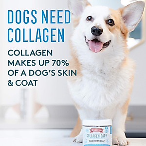 The Missing Link Collagen Care Skin & Coat Soft Chews 60ct - Daily Hair Growth, Healthy Skin & Strong Nails Support for Dogs