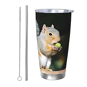 NHJKLWQSZ Cute Squirrel 20oz Stainless Steel Tumbler With Lid And Straw, Double Wall Vacuum Insulated Coffee Mug Travel Cups Leak-Proof Lid For Hot And Cold Drinks, Metal Straws And Brush