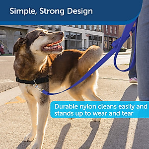 PetSafe Nylon Dog Leash - Strong, Durable, Traditional Style Leash with Easy to Use Bolt Snap - 1 in. x 6 ft., Royal Blue