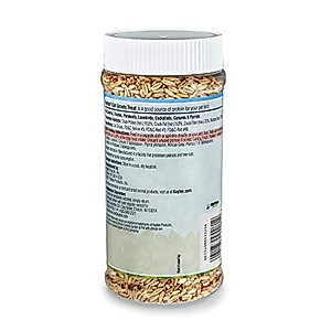 Kaytee Oat Groats Treat Jar- All Pet Birds 11 oz