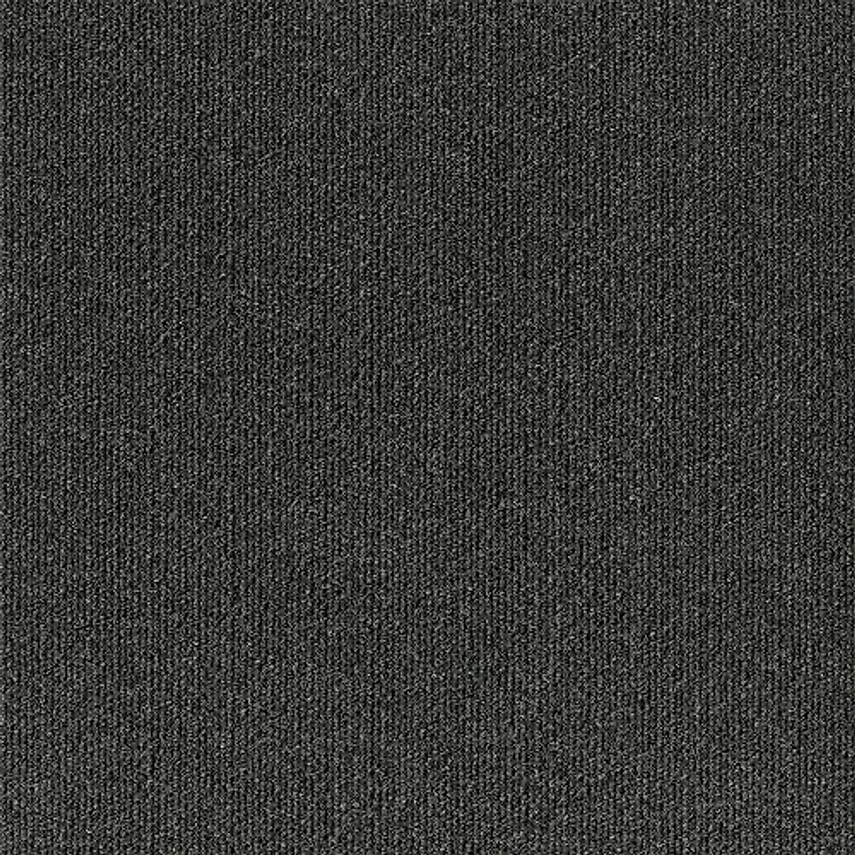 Indoor - Outdoor Area Rugs and Runners Constructed with Superior PET Fiber Made from 100% Purified Recycled Bottles. (9' x 12', Black Ice)