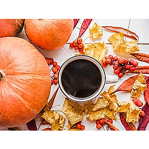 San Francisco Bay Compostable Coffee Pods - Pumpkin Spice (80 Ct) K Cup Compatible including Keurig 2.0, Flavored, Medium Roast