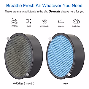 Gonrair 2PACK GL-2106 Air Purifier Filter Replacement GL-2106 Series Air Purifier H13 HEPA 6 Layers Filter