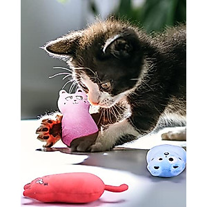 Feeko 5Pcs Catnip Toys, Cat Pillow Toys, Rattle Sound, Cat Toys for Indoor Cats Interactive with Cute Cat Toy Set, Cat Teething Chew Toy, Bite Resistant Catnip Toys Plush Gift
