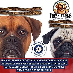 Fresh Farms Braided Collagen Sticks for Dogs 10 Pack - 6 Inches - Long-Lasting Alternative to Bully Sticks, Rawhide-Free Collagen Chews w/Chondroitin & Glucosamine for Joint Support & Dental Health