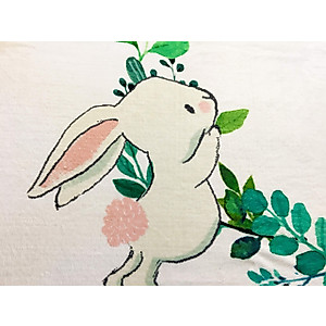 Achilles Axis Baby Milestone Blanket - Organic Soft Plush Fleece Unisex Design - Large 60 in x 40 in - Flower Photography Background Prop Included