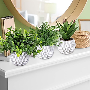 Winlyn 3 Pcs Small Potted Plants Artificial Eucalyptus Rosemary Plants and Aloe Succulent Plant in Gray Geometric Cement Pots for Gifts Table Windowsill Shelf Home Bathroom Indoor Outdoor Green Decor