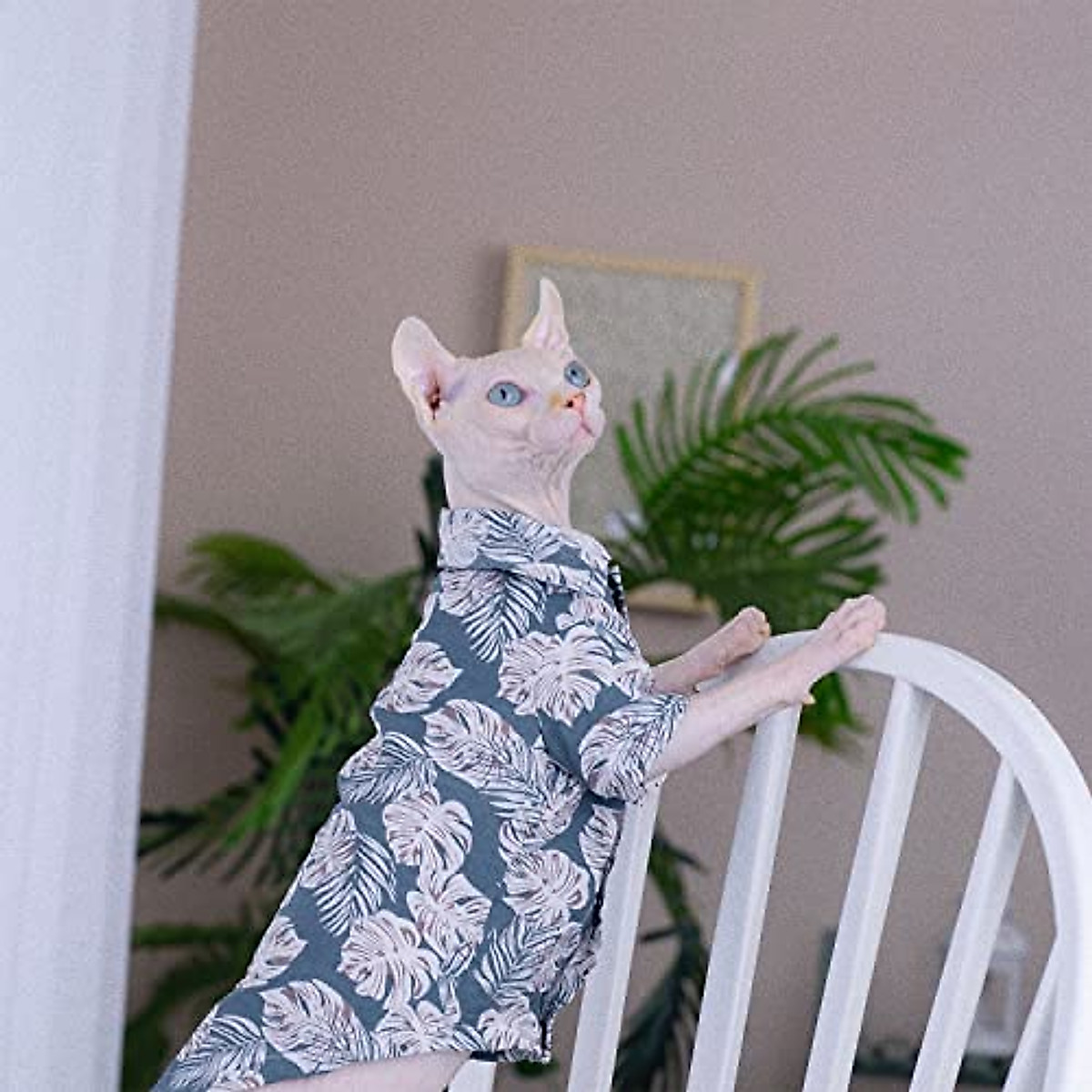 Hairless Cat T-Shirt Breathable Summer Cotton Hawaiian Shirts Short Sleeve Button Closure Turn Down Collar Leaf Print Cat Clothes Vest Apparel for Sphynx, Cornish Rex, Devon Rex, Peterbald (XXL-)