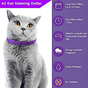 Calming Collar for Cats, 4 Pack (120 Days) with Fast-Acting Pheromones for Anxiety and Stress Relief, Provides Long-Lasting Comfort, Keeps Your Cat Calm and Relaxed, Lavender Aromatherapy
