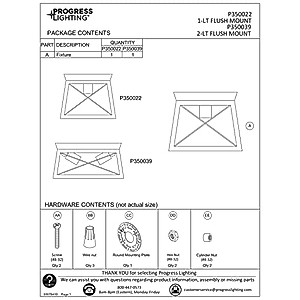 Briarwood Collection Whitewashed One-Light Farmhouse Flush Mount Ceiling Light