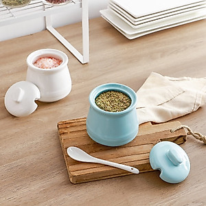 DOWAN Sugar Bowl with Lid and Spoon,12OZ Ceramic Sugar Holder for Coffee Bar, Countertop, Sugar and Creamer Bowl, Kitchen Accessories and Decor, Teal