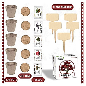 Bonsai Tree Kit – Grow 5 Species of Bonsai Tree w/ Our All-in-One Plant Kit: Bonsai Pots & Peat Pellets Including a Tutorial Video by CZ Grain | Great Gardening Gifts for Women and Men