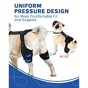MerryMilo dog knee brace for torn acl hind leg -Upgraded Anti-Slip, Support for Cruciate Ligament Injury, Arthritis, Joint Pain, Muscle Sore, CCL Brace(Size: L, Left Leg)