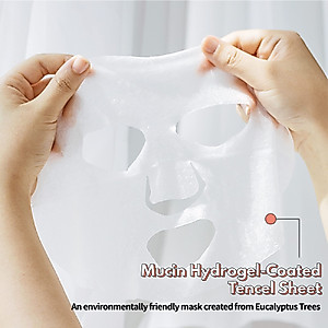 Snail Honey Jelly Face Sheet Mask 10,000 ppm Snail Mucin w/Honey 10 Hydrogel-Coated Tencel Sheets Dehydrated Dry Sensitive Skin Intense Hydration Nourishing Korean Skin Care Women Men, JIN JUNG SUNG