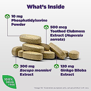 Natrol Memory Complex With Ginkgo Biloba 120mg and B Vitamins, Dietary Supplement for Brain Health and Memory Support, 60 Tablets, 30 Day Supply