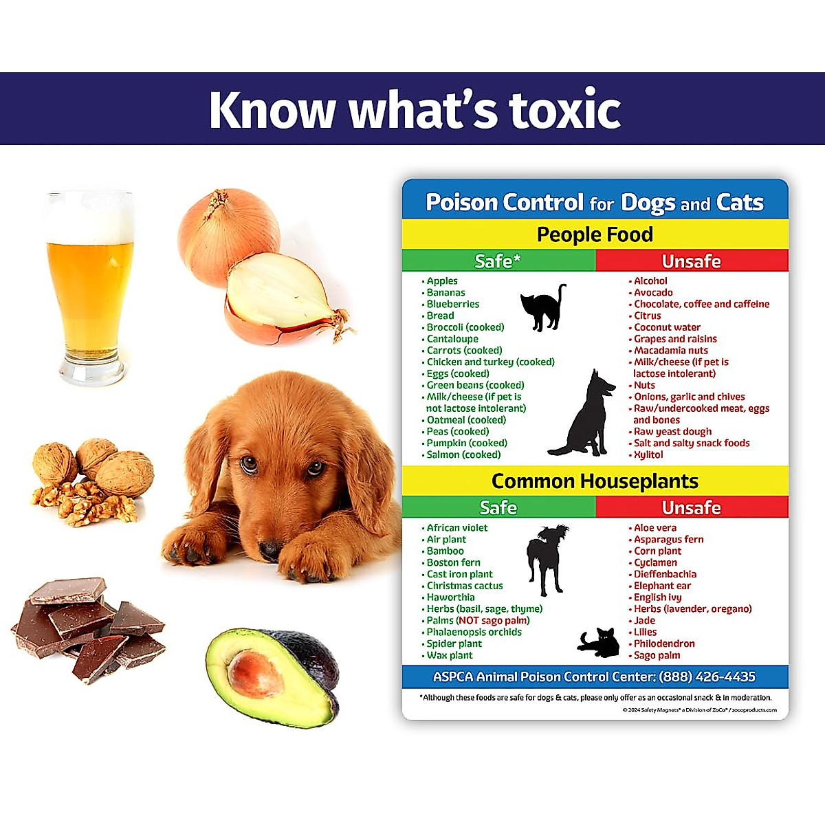 Foods and Plants Toxic to Cats and Dogs Fridge Magnets (5 Pack) - Pet Poison Control - by Safety Magnets - 5 x 7 inches